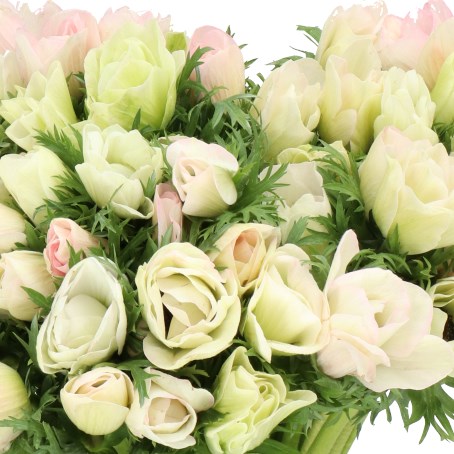 ANEMONE MISTRAL LIGHT PINK SUPER 40cm | Wholesale Dutch Flowers ...