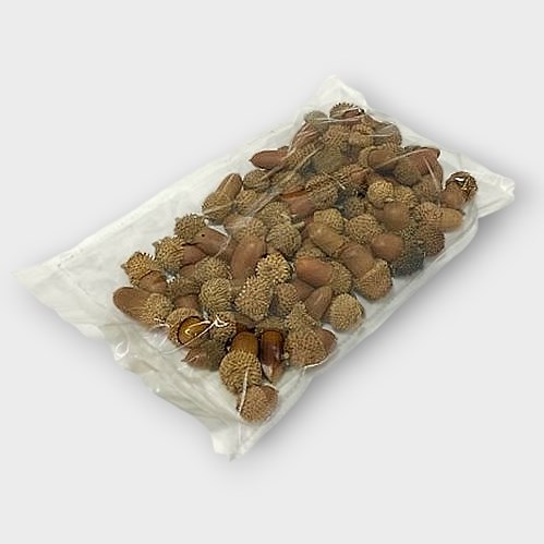 Dried Acorns 100g| Wholesale Dutch Flowers Direct & Florist Supplies UK