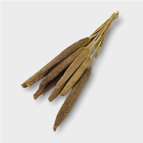 Everlasting Dried Flower Bunches & Bouquets | Babala Natural Dried 65cm