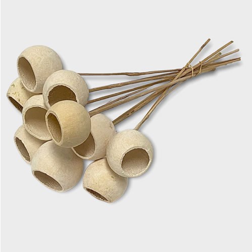 Everlasting Dried Flower Bunches & Bouquets | Bell Cups Bleached ...