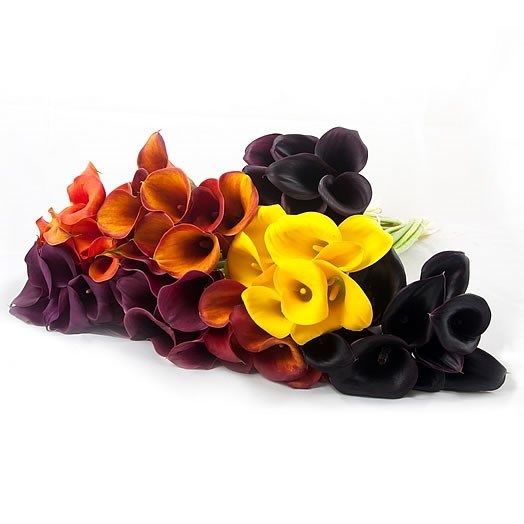 CALLA LILY AUTUMN MIX 65cm | Wholesale Dutch Flowers & Florist Supplies UK