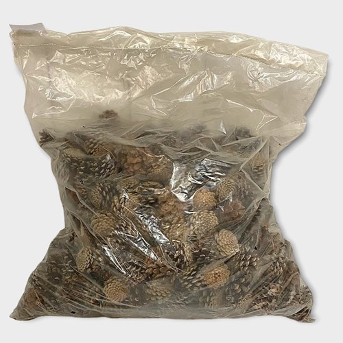 Dried Pine Cones Natural 5kg | Wholesale Florist Supplies UK | Dried ...