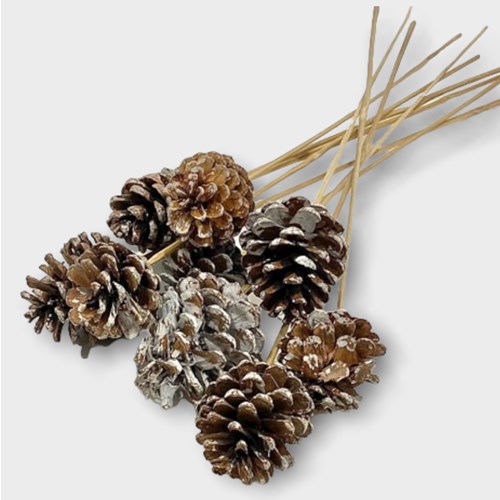 Everlasting Dried Flower Bunches & Bouquets | Frosted Christmas Pine ...