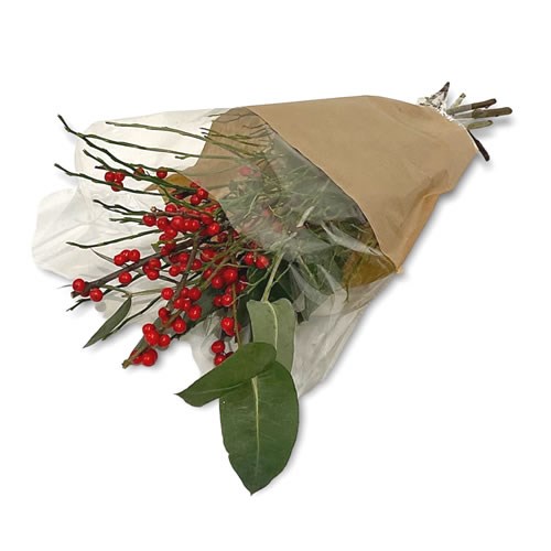 Festive Foliage Bunch | Wholesale Dutch Flowers & Florist Supplies UK