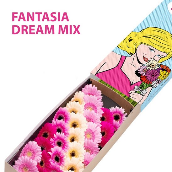 GERMINI FANTASIA DREAM MIX (SECURE BOXED) X 30 | Wholesale Dutch ...