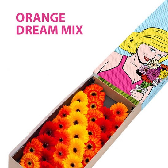 GERMINI ORANGE DREAM MIX X 30 | Wholesale Dutch Flowers & Florist ...