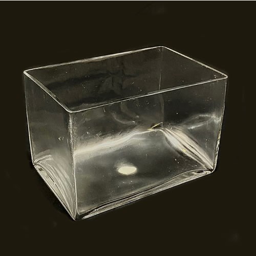 Glass Trough Vase 18x12x12cm | Florist Supplies | Triangle Nursery