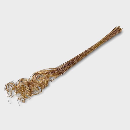 Everlasting Dried Flower Bunches & Bouquets | Curly Ting Tings Gold 70cm