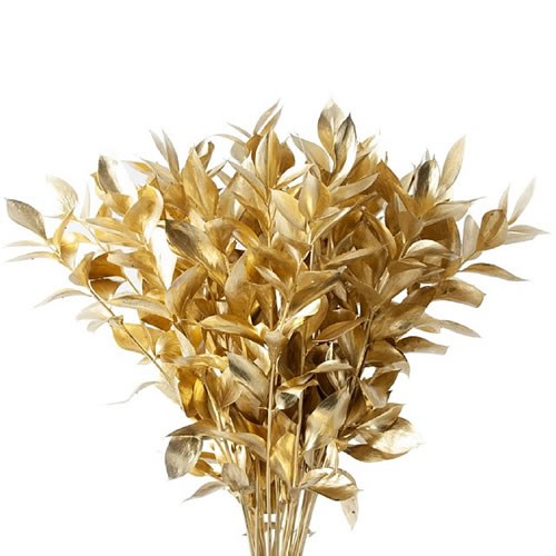 HARD RUSCUS DYED GOLD 60cm | Wholesale Dutch Flowers & Florist Supplies UK