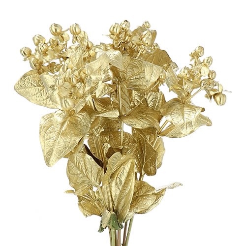 HYPERICUM DYED GOLD 70cm | Wholesale Dutch Flowers & Florist Supplies UK