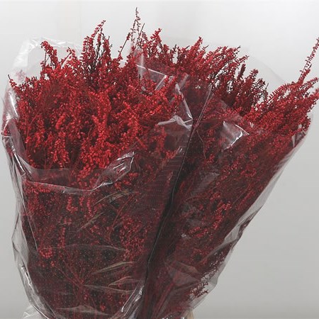 Heather Dyed Red 50cm | Wholesale Dutch Flowers & Florist Supplies UK