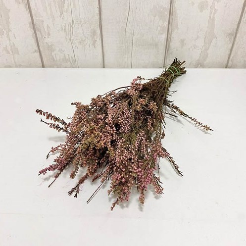 Heather Pink - Dried 45cm | Wholesale Dried Flowers UK | Preserved Flowers