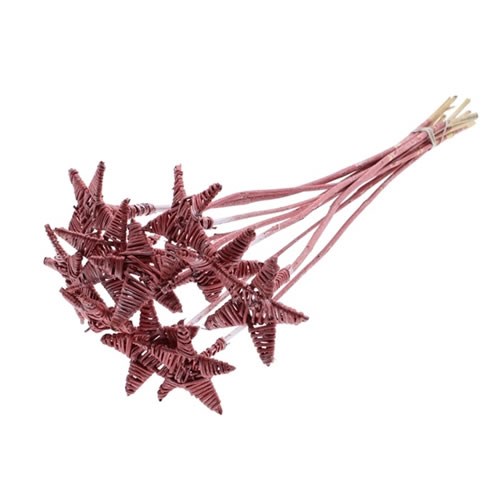 LATA STARS METALLIC RED 50cm | Wholesale Dutch Flowers & Florist ...
