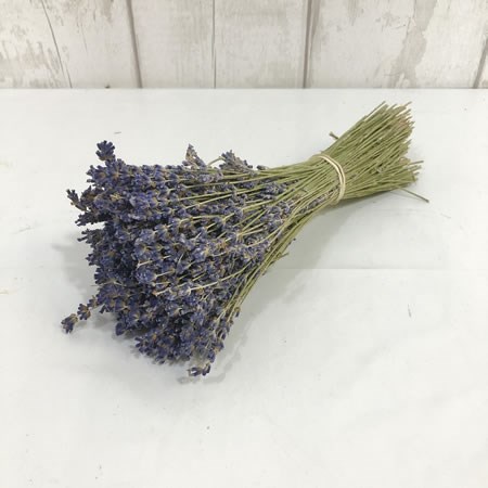 Lavender Posy Dried 28cm | Wholesale Dutch Flowers Direct & Florist ...