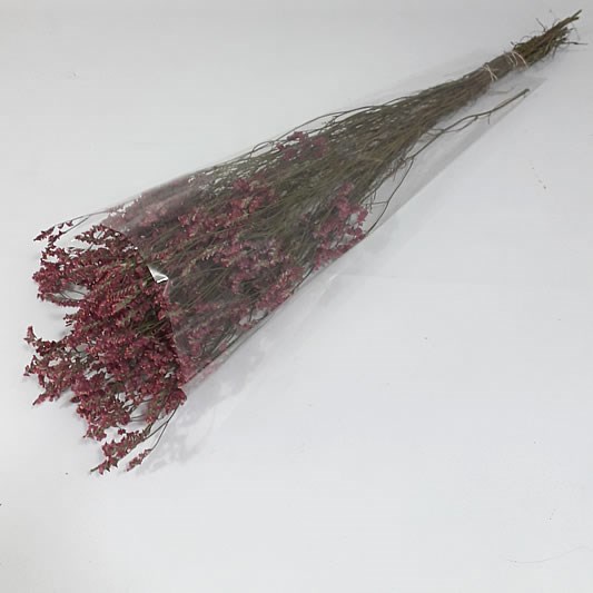 Limonium Diamond Red (Dried) 70cm | Wholesale Dried Flowers UK ...
