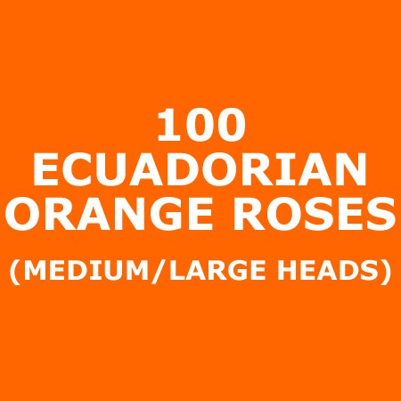 Orange Roses 60cm from Ecuador | Wholesale Flowers & Florist Supplies UK