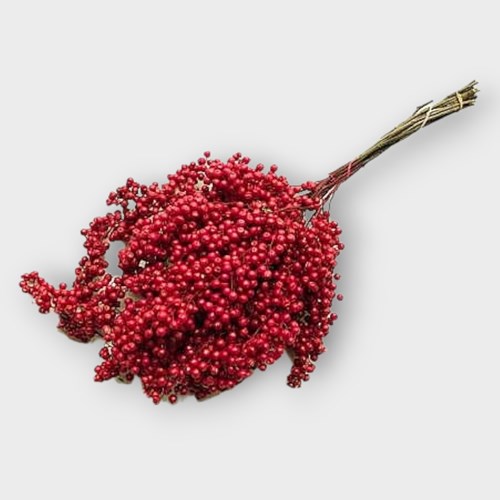 PEPPER BERRIES RED (SHINUS MOLLE) 30cm | Wholesale Dried Flowers UK ...
