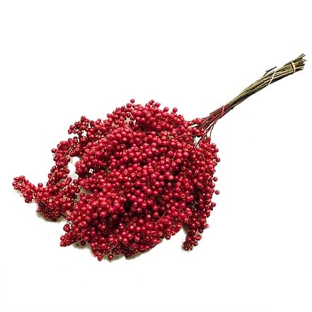 PEPPER BERRIES RED (SHINUS MOLLE) 30cm | Wholesale Dried Flowers UK ...