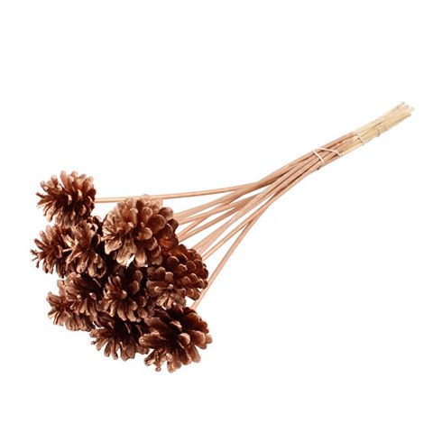 PINE CONE PICKS - COPPER 50cm | Wholesale Dutch Flowers & Florist ...