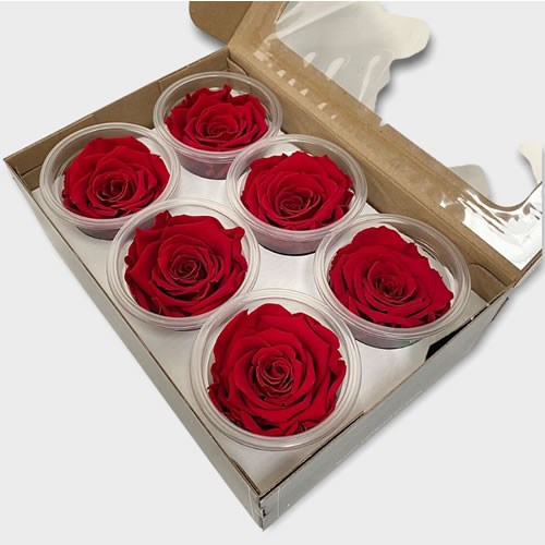 Luxury One Year Preserved Roses Red | Preserved Rose Heads UK | Dried ...