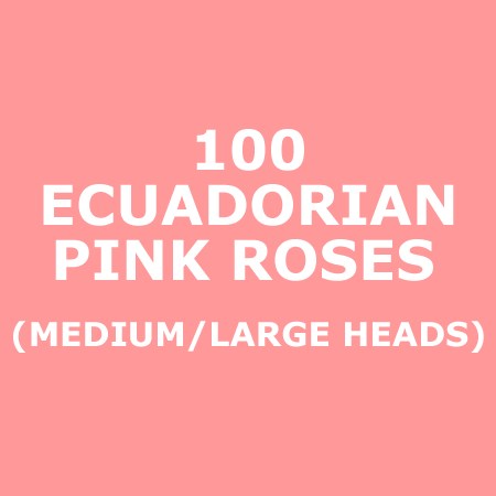 Pink Roses 60cm from Ecuador | Wholesale Flowers & Florist Supplies UK