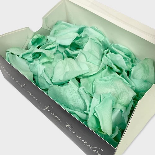 Preserved Rose Petals Mint Green | Bio-degradable Confetti | Dried ...