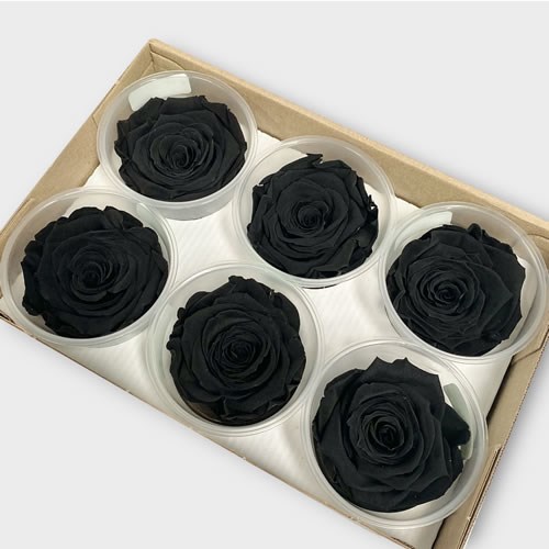 Luxury One Year Preserved Roses Black XL | Preserved Rose Heads UK ...