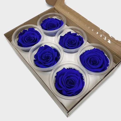 Luxury One Year Preserved Roses Blue | Preserved Rose Heads UK | Dried ...