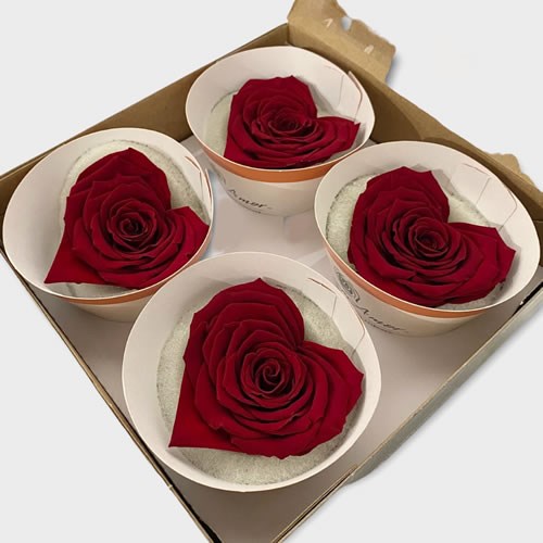 Luxury One Year Preserved Roses Red Hearts | Preserved Rose Heads UK ...