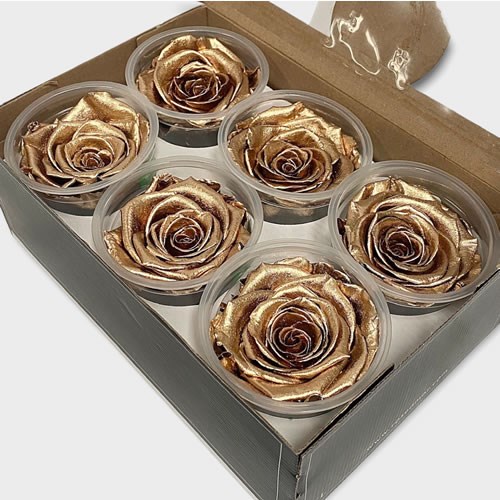 Luxury One Year Preserved Roses Gold XL | Preserved Rose Heads UK ...