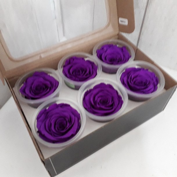Luxury One Year Preserved Roses Purple | Preserved Rose Heads UK ...