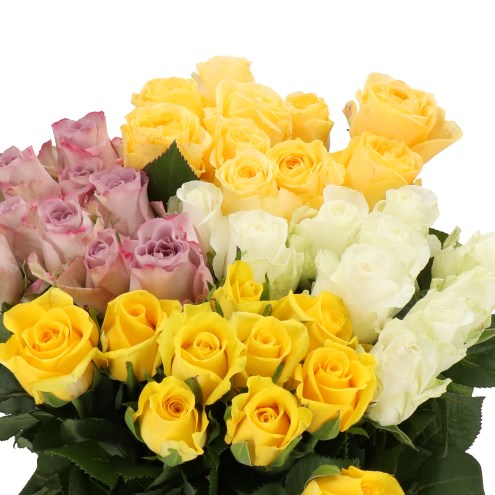 ROSE EASTER MIX (SMALL HEADS) 40cm | Wholesale Dutch Flowers & Florist ...