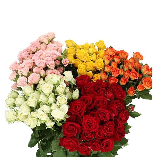 ROSE SPRAY MIX (COLS MAY VARY) 60cm | Wholesale Dutch Flowers & Florist ...