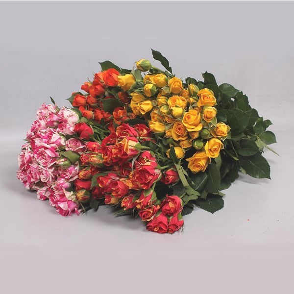 ROSE SPRAY MIX (COLS WILL VARY) 50cm 4+ | Wholesale Dutch Flowers ...
