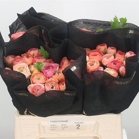 Ranunculus Elegance Salmon 35cm | Wholesale Dutch Flowers & Florist ...