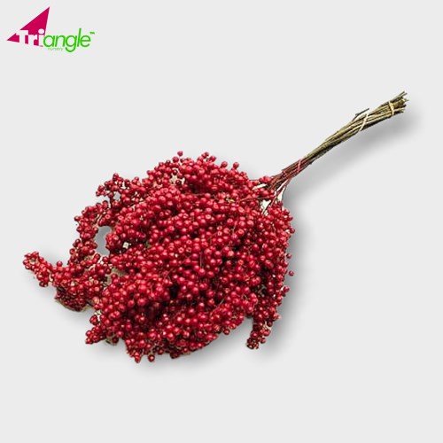 Red Schinus Molle (pepperberries) | Wholesale Dutch Flowers & Florist ...