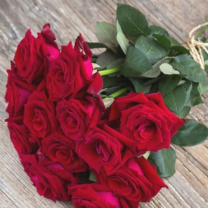 Rose Garden Lady Killer 50cm | Wholesale Dutch Flowers & Florist ...