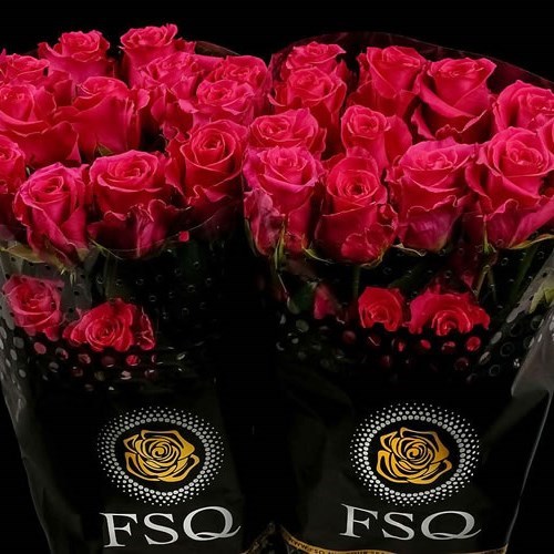 Rose Gotcha (Ecuadorian Large Heads) 60cm | Wholesale Dutch Flowers ...