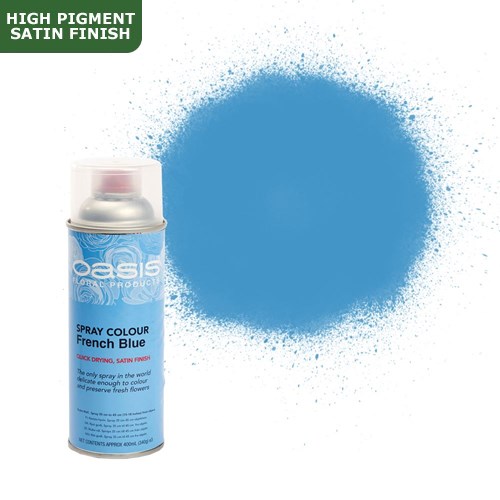 Spray Paint Oasis French Blue | Wholesale Dutch Flowers & Florist ...