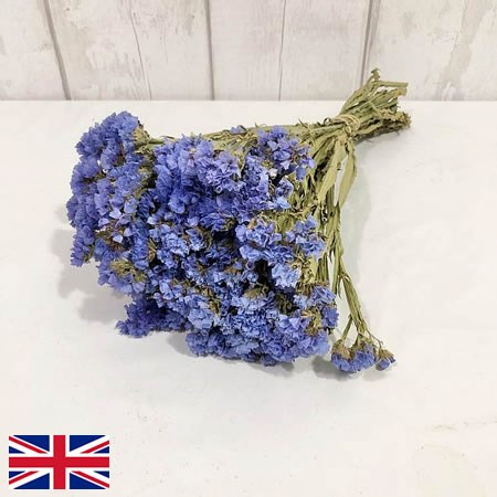 Statice Pink Dried 50cm English | Dried Flowers | British Flowers UK ...