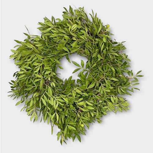 Table Centre Wreath Base Pistache | Wholesale Flowers & Florist Supplies UK