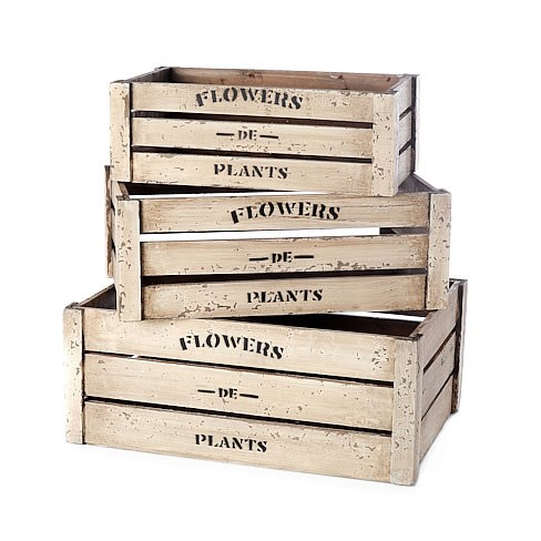 Wooden Crate Set of 3 Plants de Flowers | Wholesale Dutch Flowers online UK