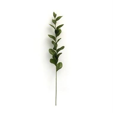 Artificial Ruscus Stem | Wholesale Silk Flowers & Florist Supplies UK