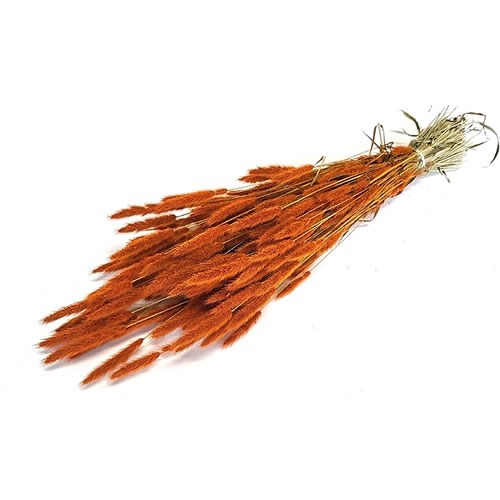 Dried Flowers & Foliage | Preserved Foliage | Wholesale Dried Flowers ...