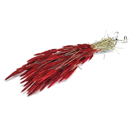 Dried Flowers & Foliage | Preserved Foliage | Wholesale Dried Flowers ...