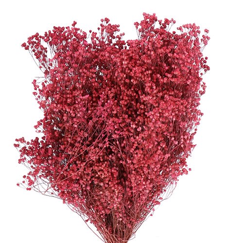 Dried Flowers & Foliage | Preserved Foliage | Wholesale Dried Flowers ...