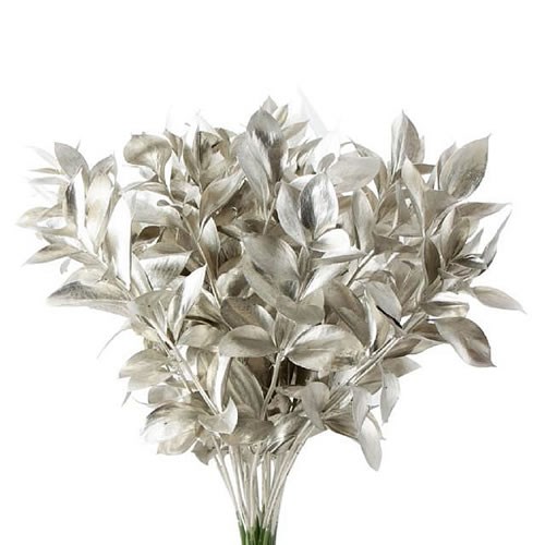 Wholesale Dutch flowers. Wholesale Floral Supplier