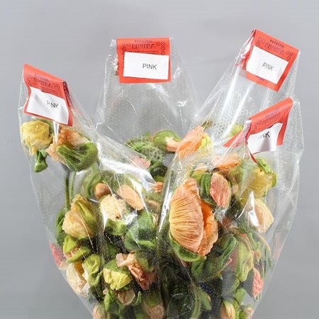 Seasonal Flowers | Wholesale Flowers UK | Wedding Flowers | Triangle ...