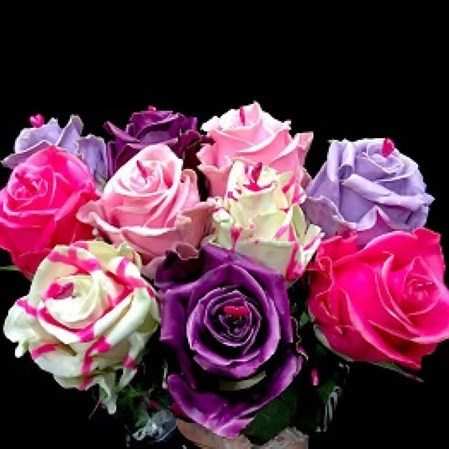 Buy Waxed Roses & Waxed Rose Hips | Wholesale Flowers & Florist Supplies UK