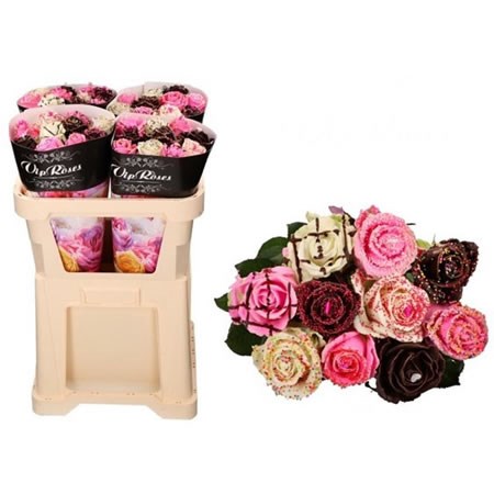 Buy Waxed Roses & Waxed Rose Hips | Wholesale Flowers & Florist Supplies UK